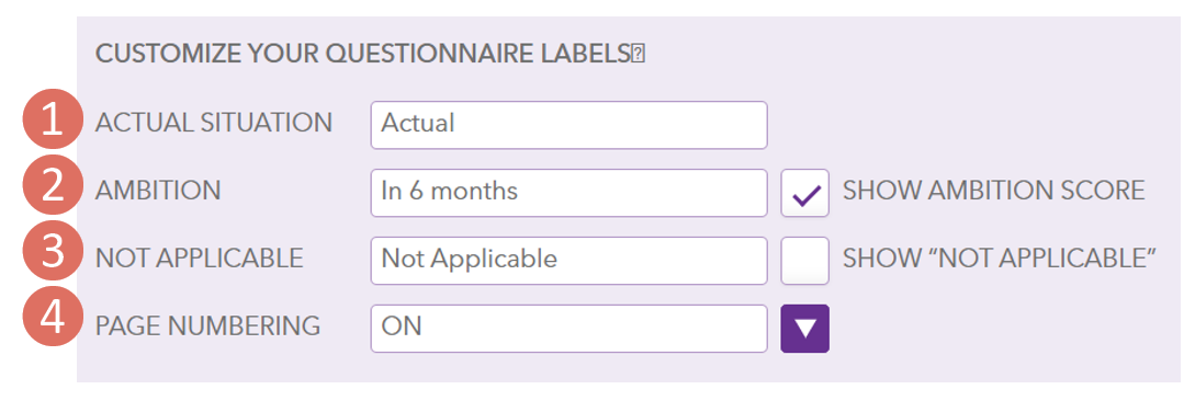 Design & Text - Questionnaire labels – PRAIORITIZE Help